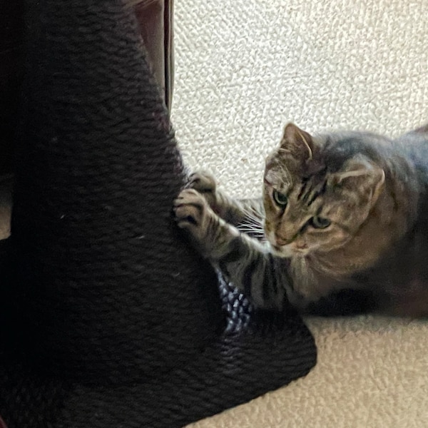 Cone Cat Scratching Post - Etsy