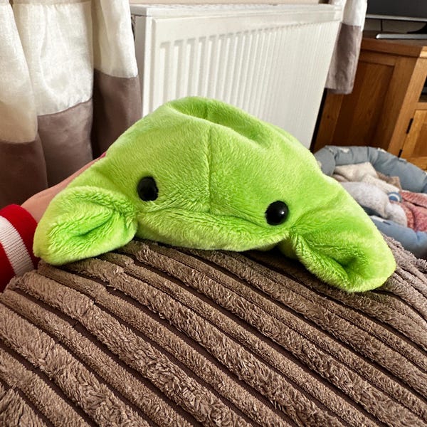 PDF File. Baby Bean Frog Sewing Pattern With Step by Step Instructions ...