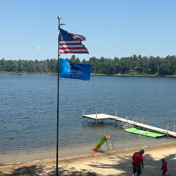 Swamp With Alligator Picture, Louisiana Swamp Wall Hanging, Florida ...