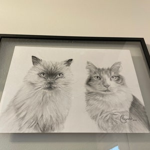 Custom Pet Portrait, Pet Memorial, Gifts, Dogs, Dog Drawing, Charcoal ...