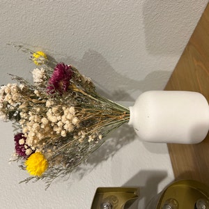 Preserved Lycopodium Bunchdried Princess Pine Grassdried Flowers ...