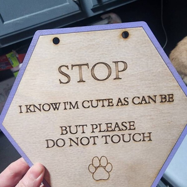 Stop, Please Don't Touch! Warning Sign to Not Pet My Animals for Fairs ...