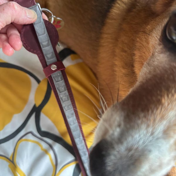 Personalized Leather AirTag Dog Collar, AirTag Dog Collar, Collar for ...