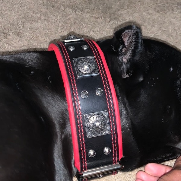 Bestia™ "eros" Genuine Leather Dog Collar for Large Dog Breeds. 2.5 ...