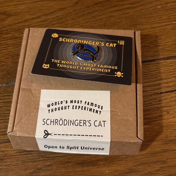 Schrodinger's Cat in a Box - Enamel Pin- Physics, College, Science ...