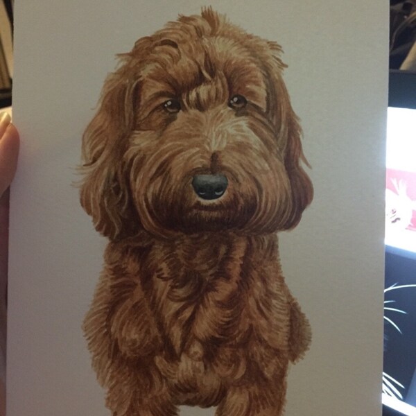 Rainbow Bespoke Pet Portrait - Bespoke Dog Art, Quirky Pet Portrait ...