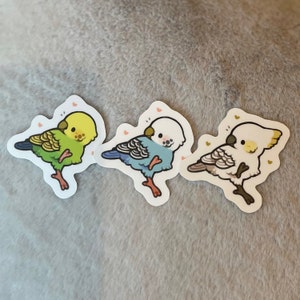 Dancing Birds Sticker Set Pack: Cockatiel, Budgie, Lovebird / Cute Bird ...