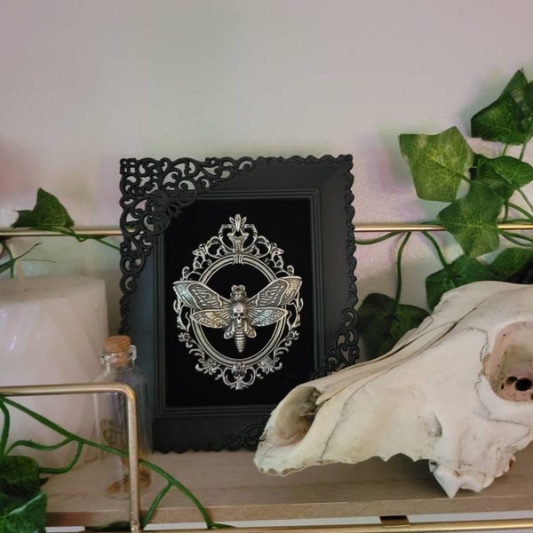 Death Head Moth With Ornate Frame | Macabre | Faux Taxidermy | Faux ...