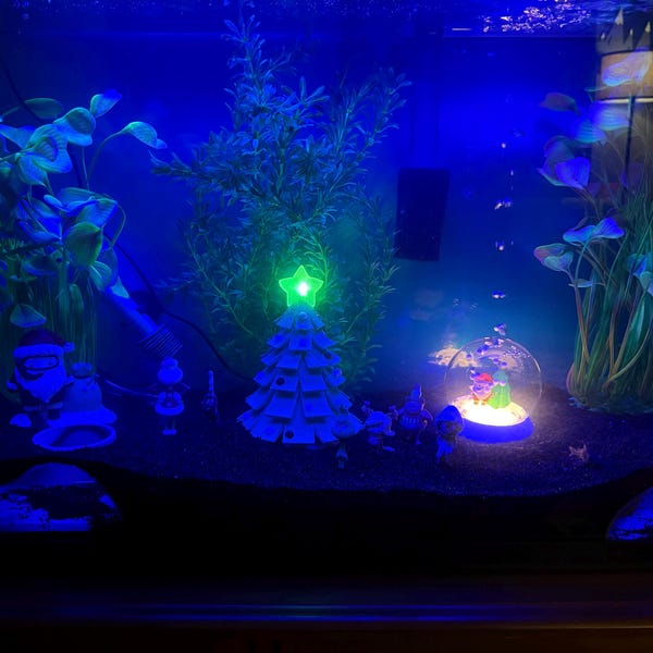 Aquarium Underground Cave Hide Fish Tank Decoration, Kuhli Loach Dojo ...