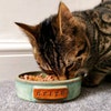 Handmade Ceramic Personalised Cat Bowls/ Pet Bowls/ Dog Bowls/ Treat ...