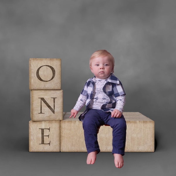 First Birthday Digital Backdrop, One Year Digital Background, 12 Months ...