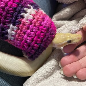 Custom Tortoise Diaper | Etsy