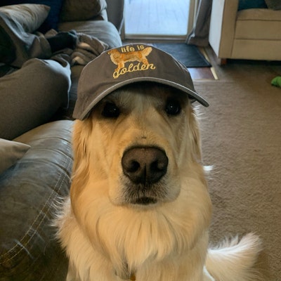 Custom Military Command Shoulder Rockers, Navy Dress Rocker, Navy ...