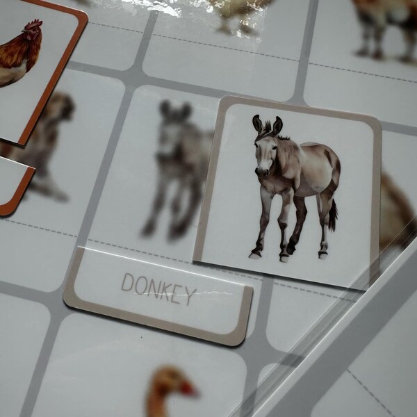 20 Farm Animal Flash Cards – Montessori-inspired 3-part Printable ...