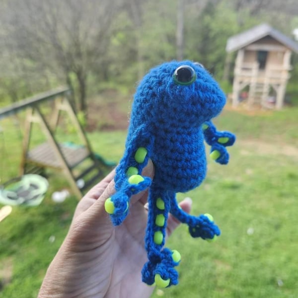 Beaded Fidget Frog Crochet Pattern: Beginner Friendly, No Sew, Sensory ...