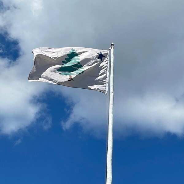 1901 Original Maine Flag - Etsy