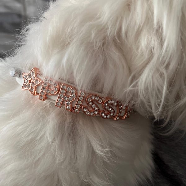 Wedding Dog Collar I DO TOO Collar and Leash Choose From 26 Colors ...