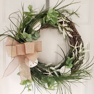 1 to 100 Astrea Calcar Turban Spurred Shells Natural Cream | Etsy