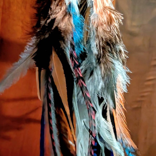 12 Long Rooster Feathers Cree Natural Craft and Earring Feathers 8 to ...