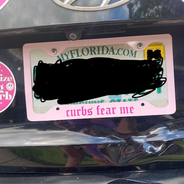 Curbs Fear Me License Plate Frame, Pink Funny Y2k Vehicle Accessories ...