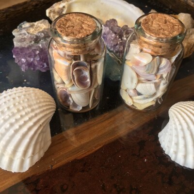100 20ml Bottles With Corks. Bitty Bottle. Glass Vials Jars. Glass Storage Containers. Clear ...