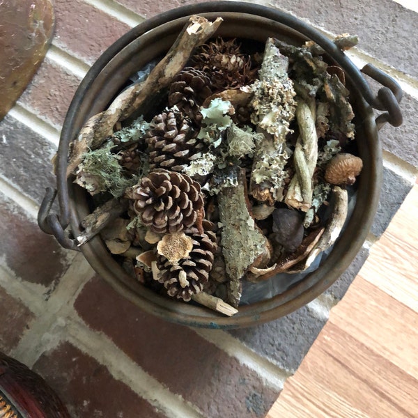 25 Sweetgum Balls - Spiky Balls - Alien Pods - Witch Burr - Craft ...