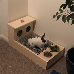 Pet Bunny Rabbit Feeding Station | Etsy