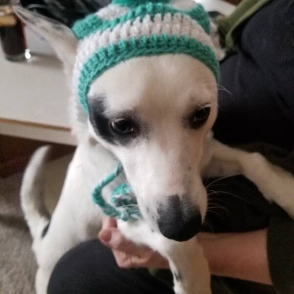 Instant Download Crochet Pattern - Large Dog - Striped Earflap Dog Hat ...