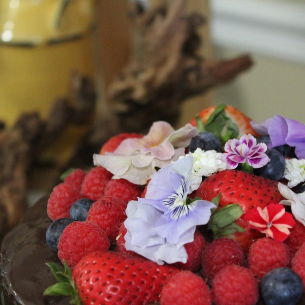 Fresh Edible Flowers Micro Flowers™ Blend 200 Ct - Etsy