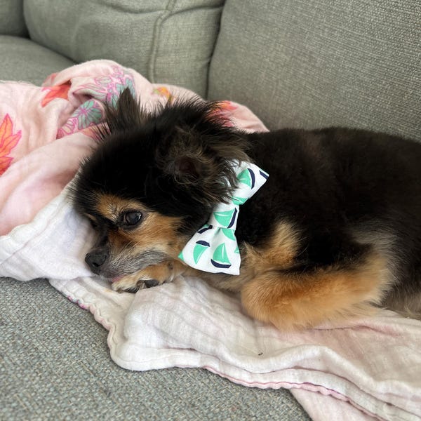 Keychain, Key Fob, Llama Keychain, Llama Key Fob, Animal Key Fob ...