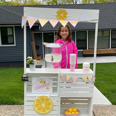 Lemonade Stand Complete With All Accessories and Decor - Etsy