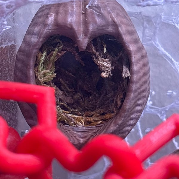 3D Printed Sandworm Jumping Spider Hide Platform - Etsy