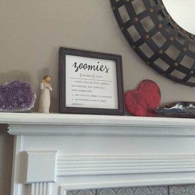 Zoomies, Home Decor, Dog Decor, Cat Decor, Pet Decor, Reverse Canvas ...