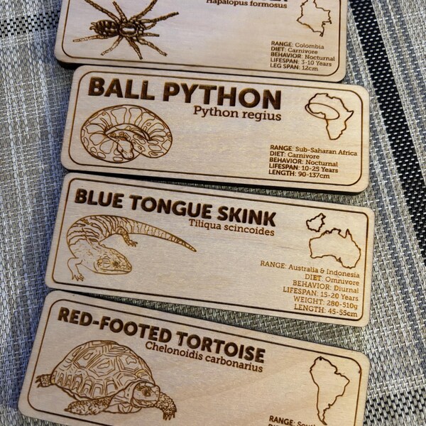 Jurassic Tags // Park Parody Species Identification Tags for Reptiles ...