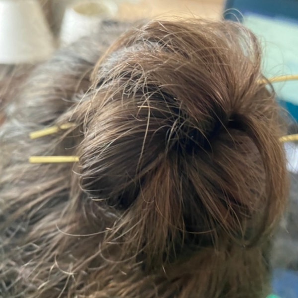 Copper Bun Holder, Wiggle Hair Pin, Hair Bun Cage, Copper Hair ...