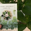 Plant Mom Hard Enamel Pin|| Plant Lady Pin || Plant Lover Pin || House ...
