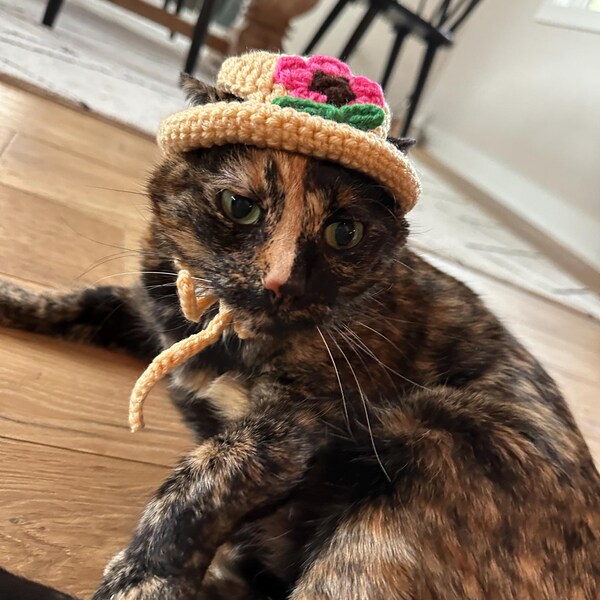 Pink Flower Summer Hat Cat Hats Cat Costumes Cat Accessories Cat ...