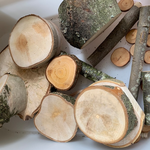 Extra Large Wooden Log Tree Slice Discs Threading Set Fine Motor Finger ...