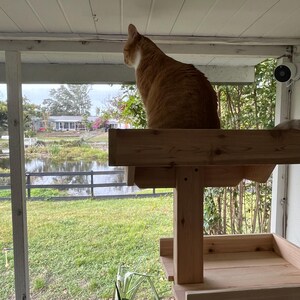 5 Perch Outdoor Cedar Cat Tree Tower Has 5 Levels. Our Tallest Tree for ...