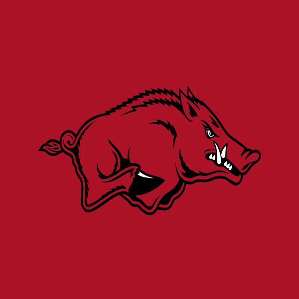 Metal Licensed Metal Razorback Cut Out - Etsy