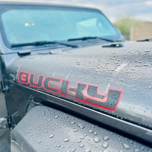 Screw Cancer Decals 2-pack - Etsy