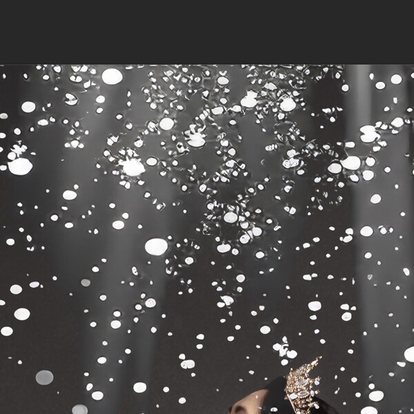 White Dove Overlays Wedding Doves Overlay Peace Birds Photoshop ...