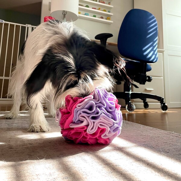 Snuffle Ball, Treat Dispenser, Treat Ball, Canine Enrichment, Keep Dogs ...