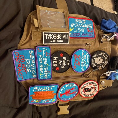 Spooky Dog Patches Dog Patches Halloween Dog Working Dog - Etsy