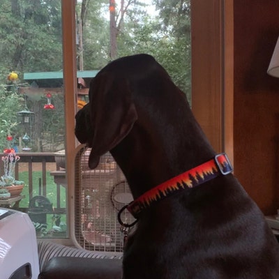 Treeline Dog Collar Trees Forest Nature Outdoors - Etsy