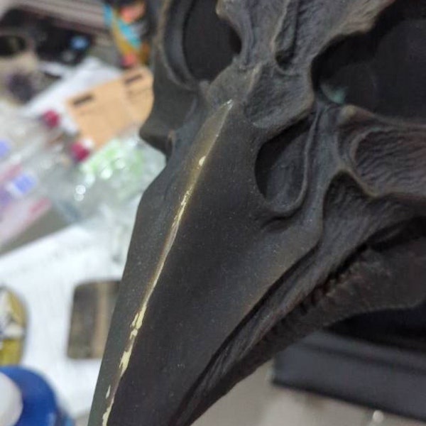 Plague Doctor Mask Bird Skull With a Movable Jaw. - Etsy