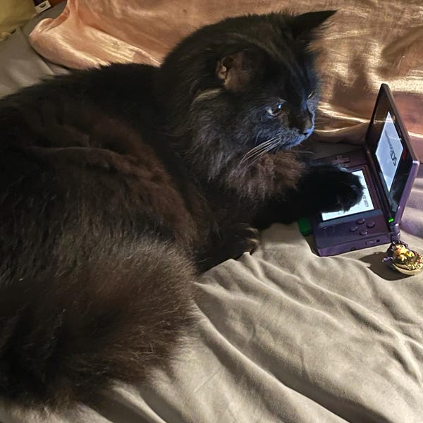 High Quality Custom Nintendo DS Lite- Smoke Gray W/ Red Buttons - Etsy