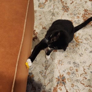 Kitty Lizard Articulated Cat Toy - Etsy