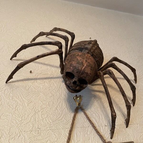 Half Spider, Half Human Child, All Horror! Sideshow Gaff Mummified ...
