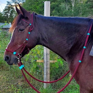 Rope Training Reins With Knots - Etsy